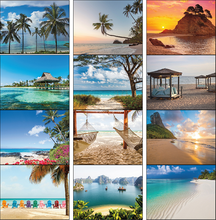 Palm Beach Social Calendar